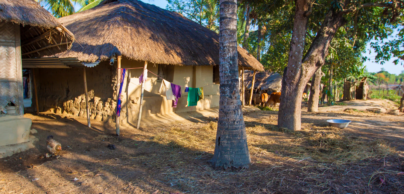 Ten Things We Never Knew About TRIPURA