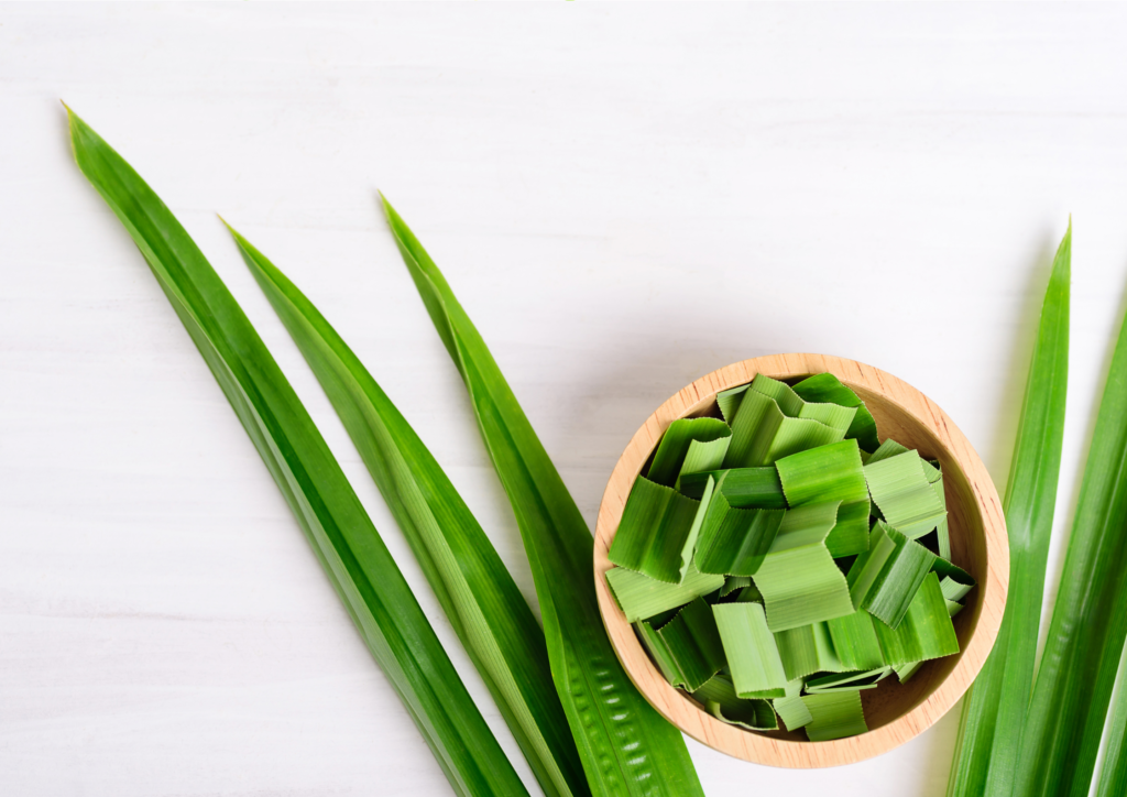 Five Plants that You Need to have for your Kitchen Garden ASAP