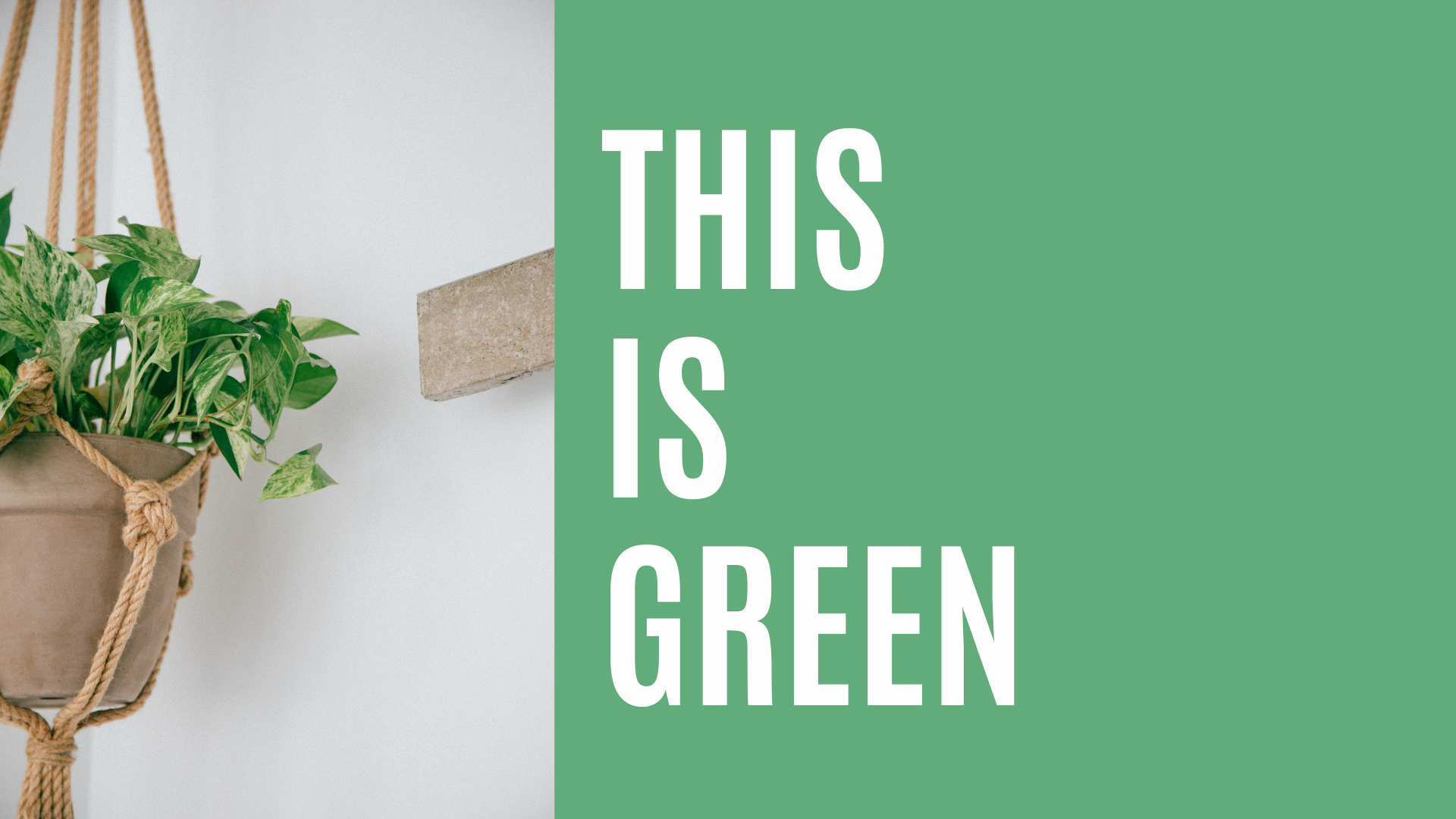 5 Sustainable Products that Promote Sustainable Living