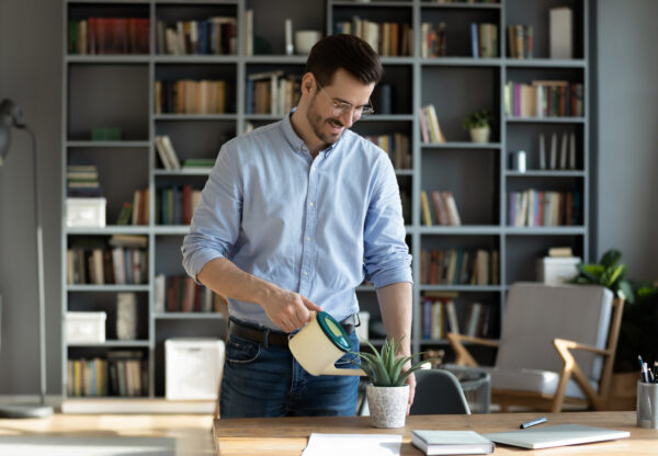 6 Compelling Benefits of Having Plants in Your Office - The One Liner